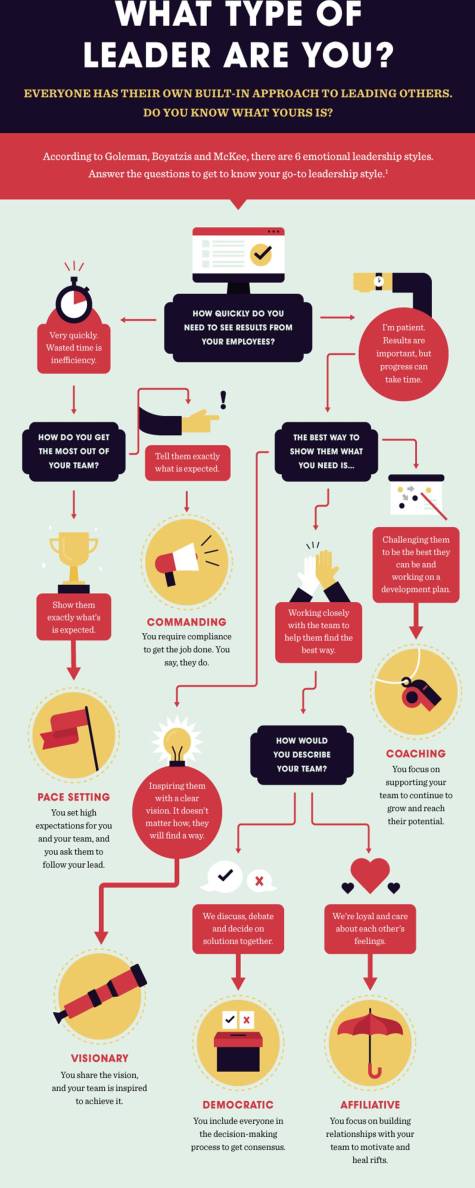 Leadership Infographic (1): What Type of Leader Are You? - Evans on ...